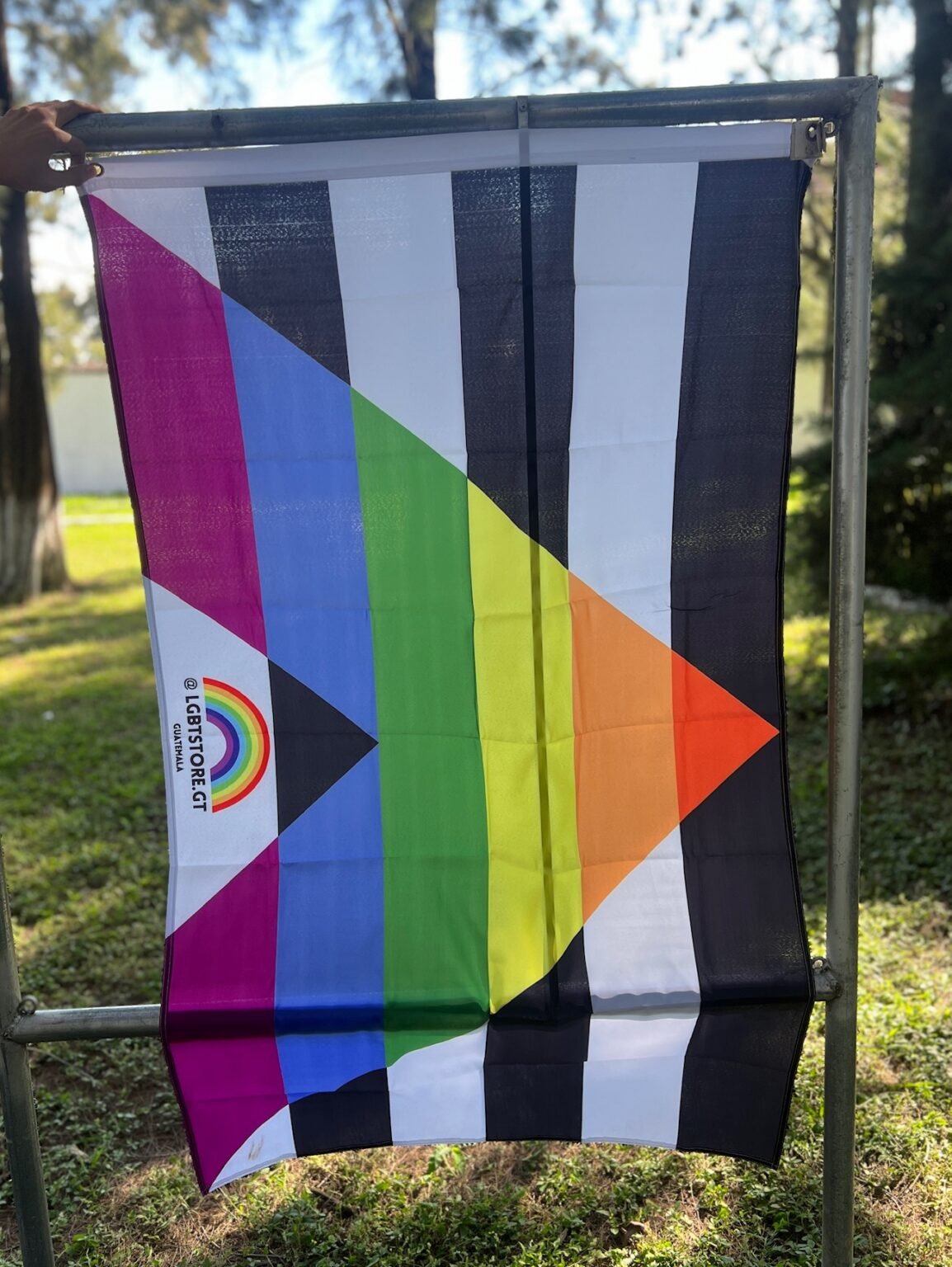 Bandera ALLY hetero aliados – lgbtstoregt