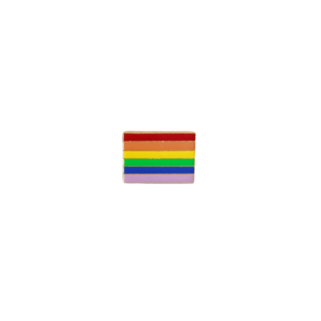Pin bandera lgbt recta – lgbtstoregt